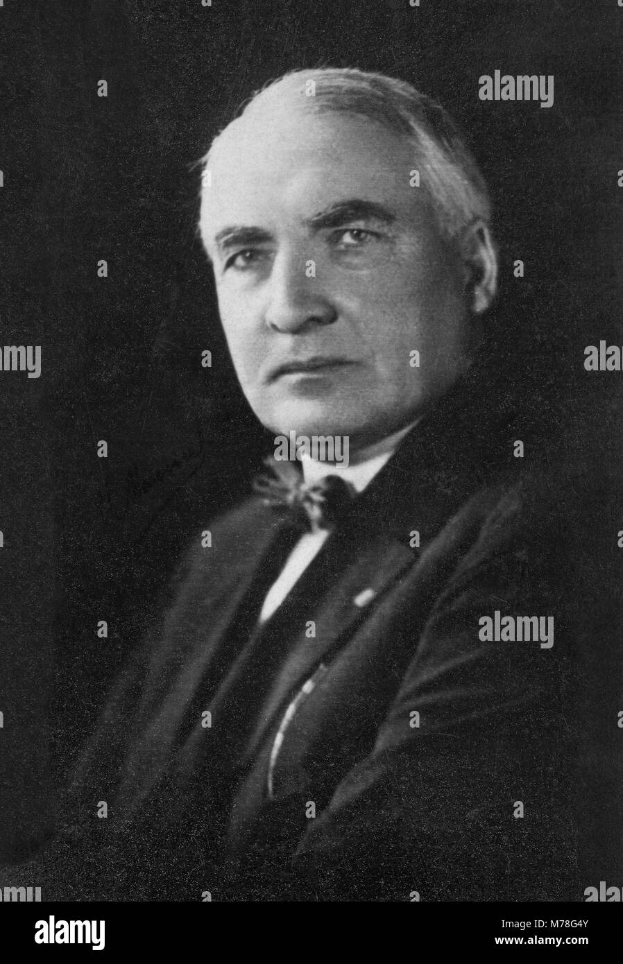 Portrait of the president of the United States Warren Harding ( 1865 ...