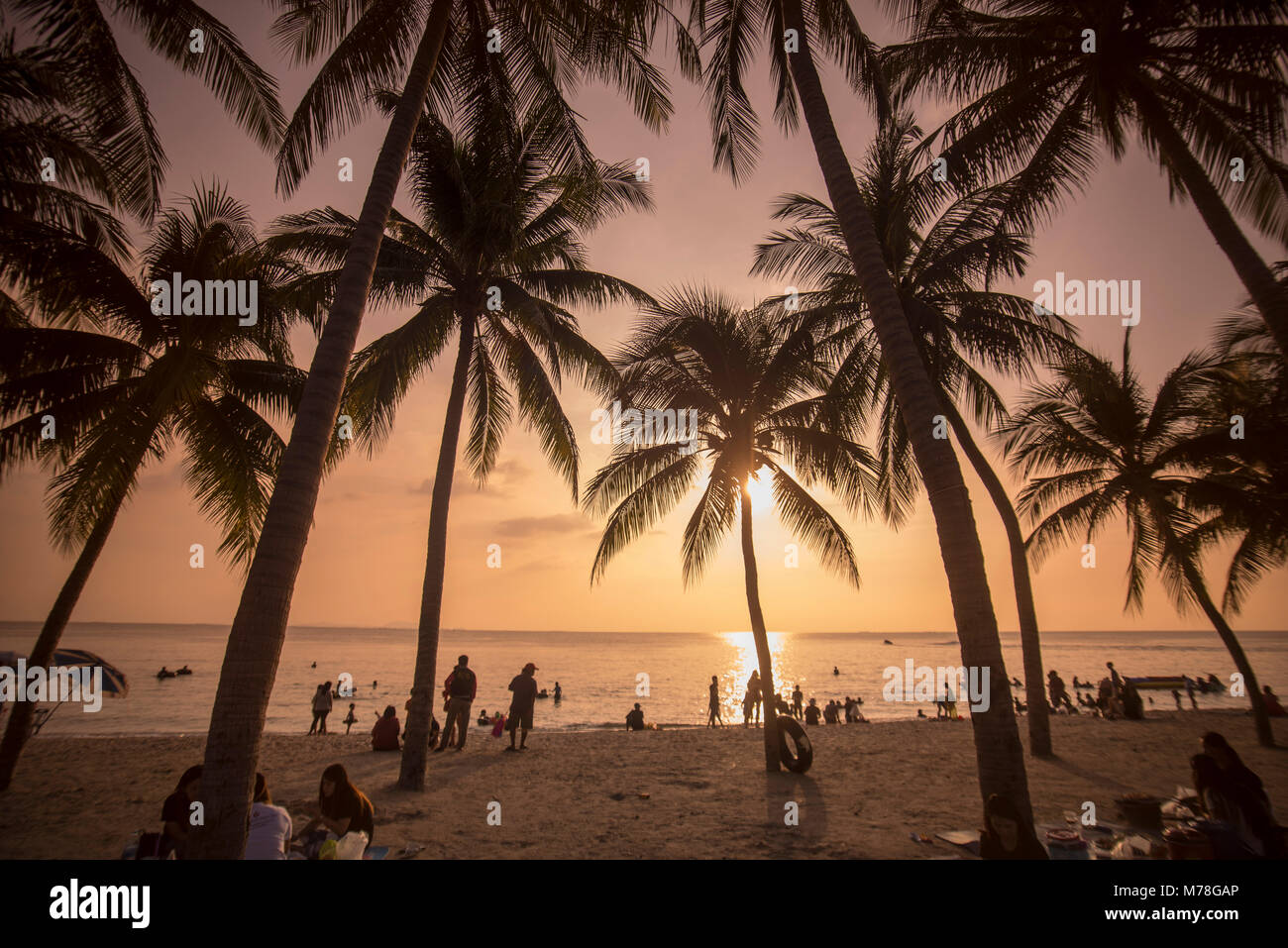 the Bang Saen Beach at the Town of Bangsaen in the Provinz Chonburi in ...