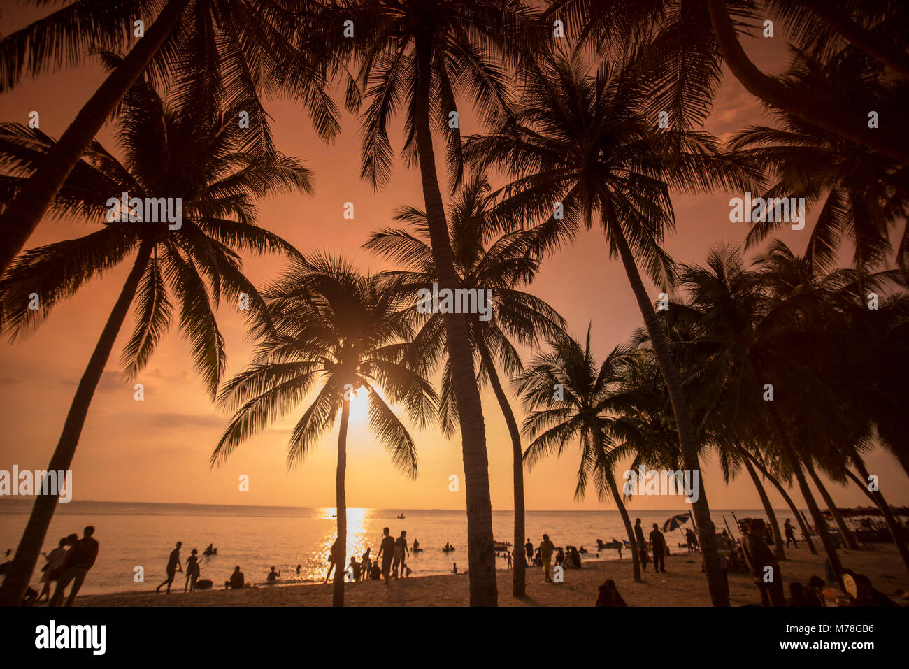 the Bang Saen Beach at the Town of Bangsaen in the Provinz Chonburi in ...