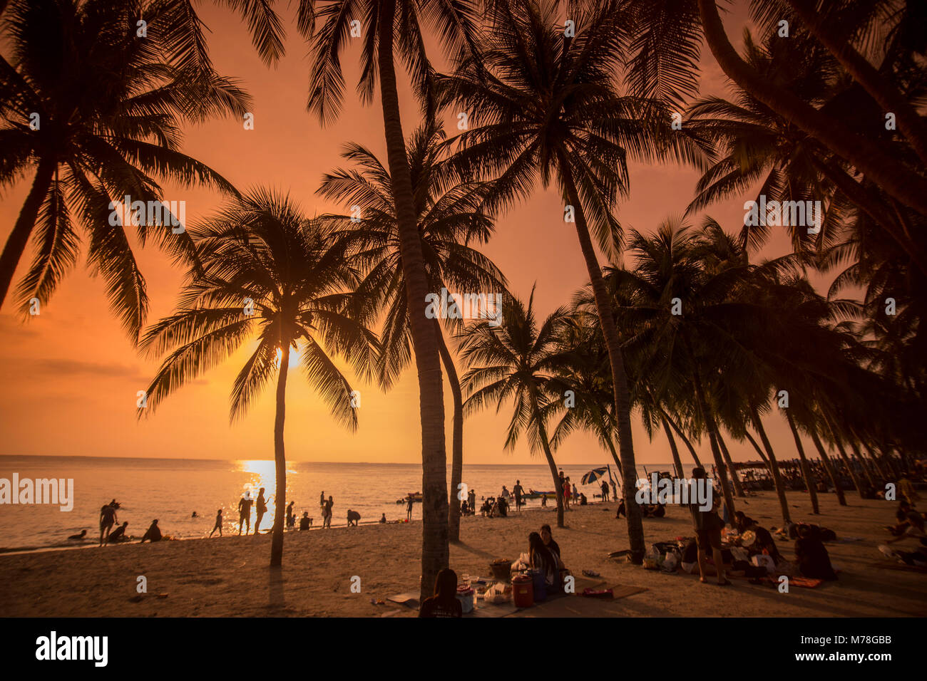 the Bang Saen Beach at the Town of Bangsaen in the Provinz Chonburi in ...