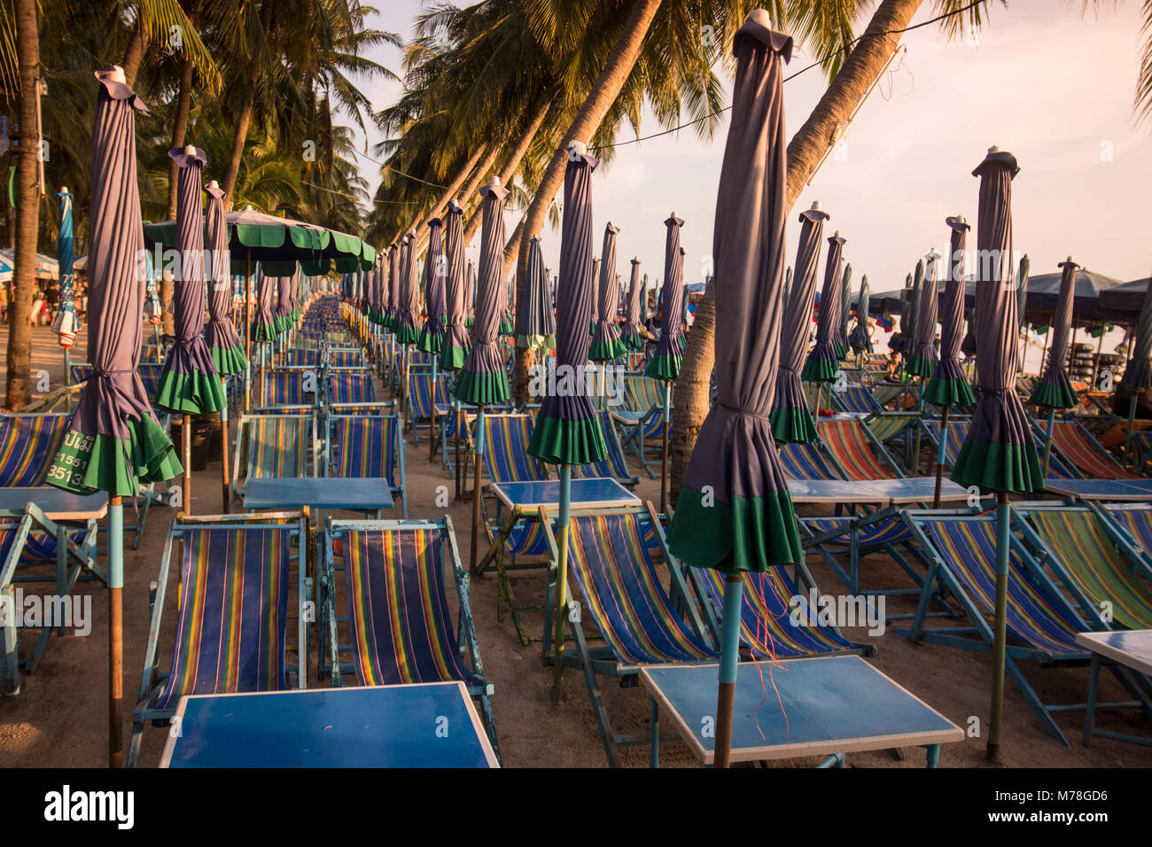 the Bang Saen Beach at the Town of Bangsaen in the Provinz Chonburi in ...