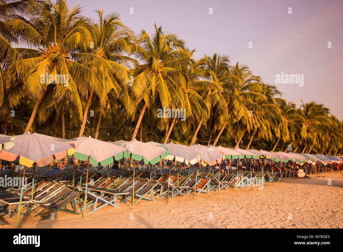 the Bang Saen Beach at the Town of Bangsaen in the Provinz Chonburi in ...