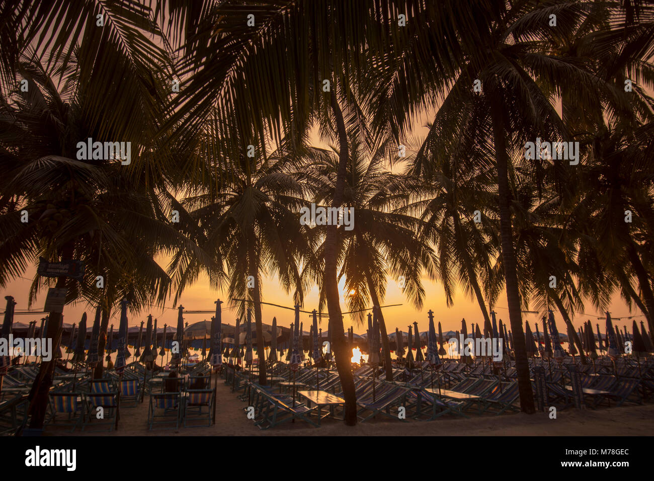the Bang Saen Beach at the Town of Bangsaen in the Provinz Chonburi in ...
