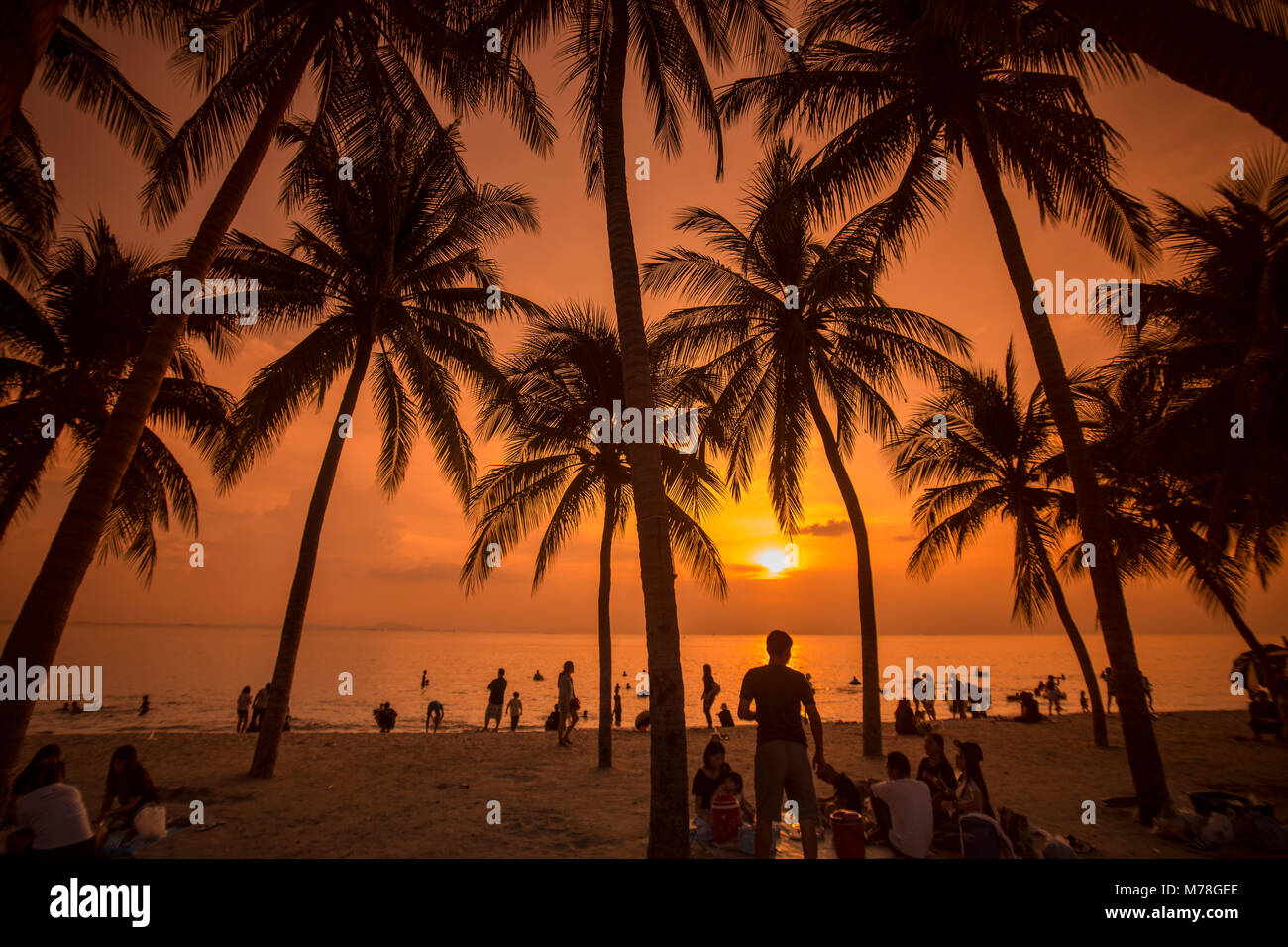 the Bang Saen Beach at the Town of Bangsaen in the Provinz Chonburi in ...