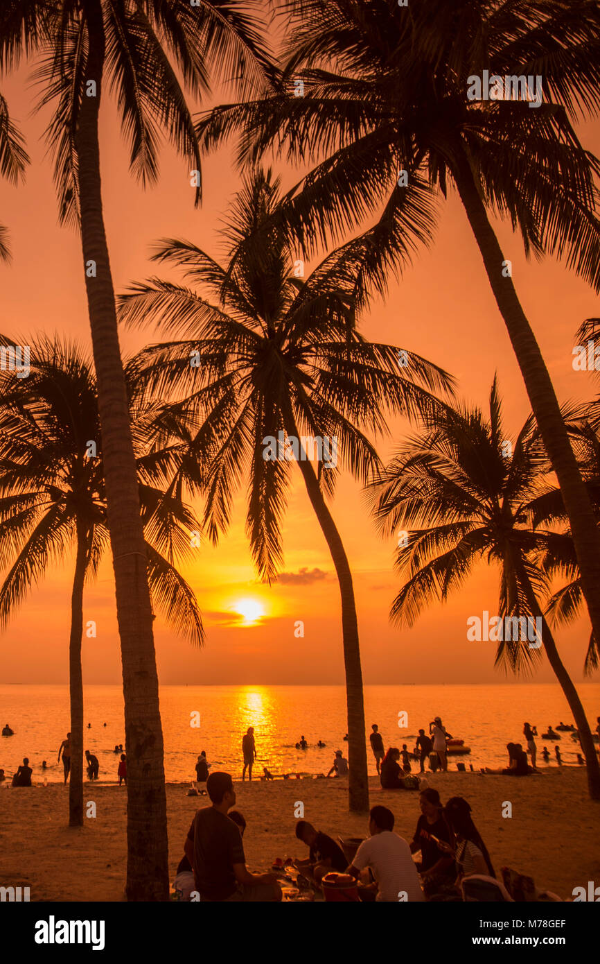 the Bang Saen Beach at the Town of Bangsaen in the Provinz Chonburi in ...