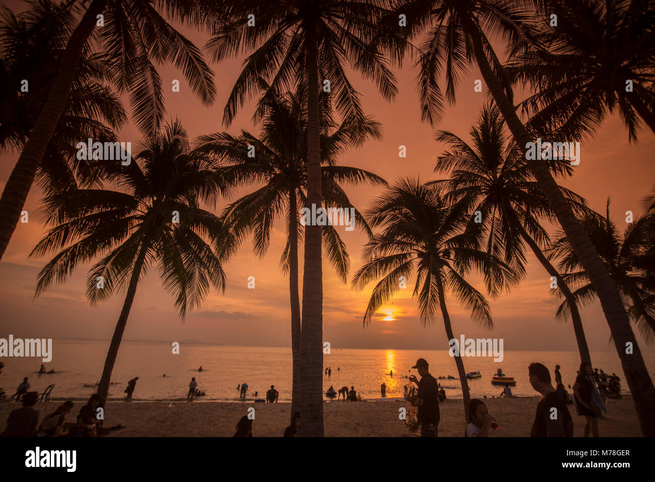 the Bang Saen Beach at the Town of Bangsaen in the Provinz Chonburi in ...