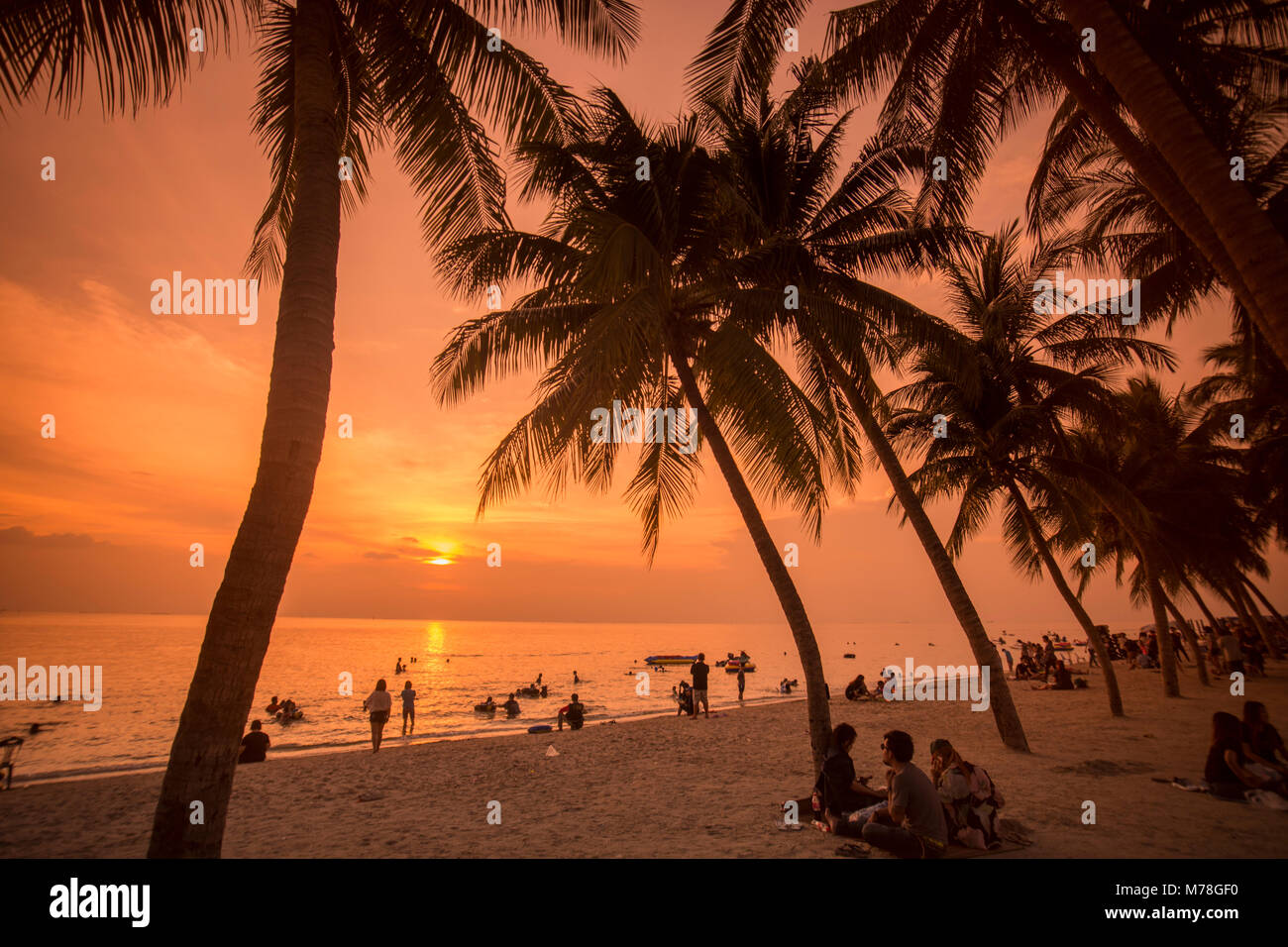 the Bang Saen Beach at the Town of Bangsaen in the Provinz Chonburi in ...