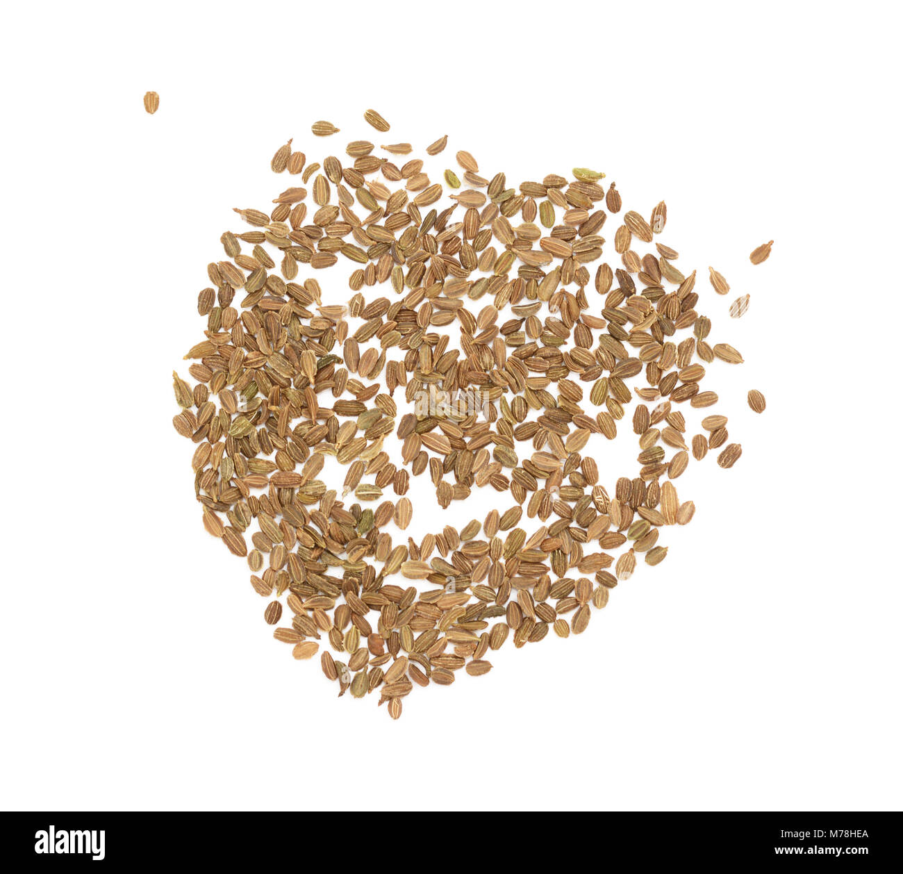 Small ridged carrot vegetable seeds scattered on a white background ...