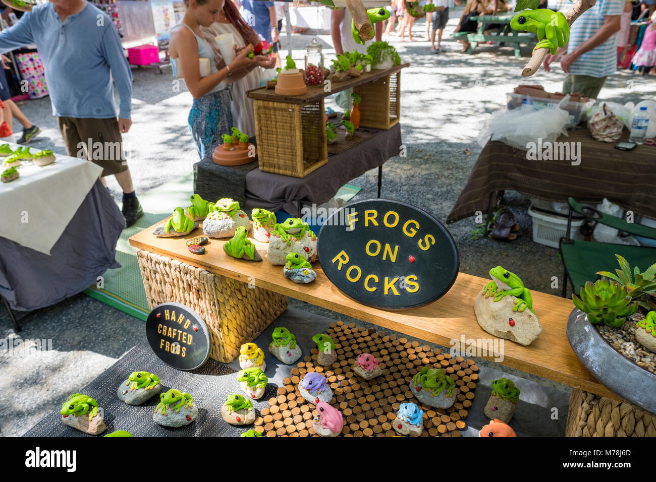 Rainforest frogs market stall at Port Douglas sunday market in Far ...