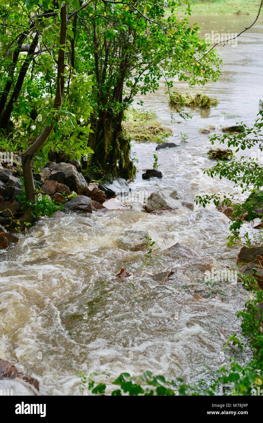 Water flowing out of a large storm water drain after storms and heavy ...