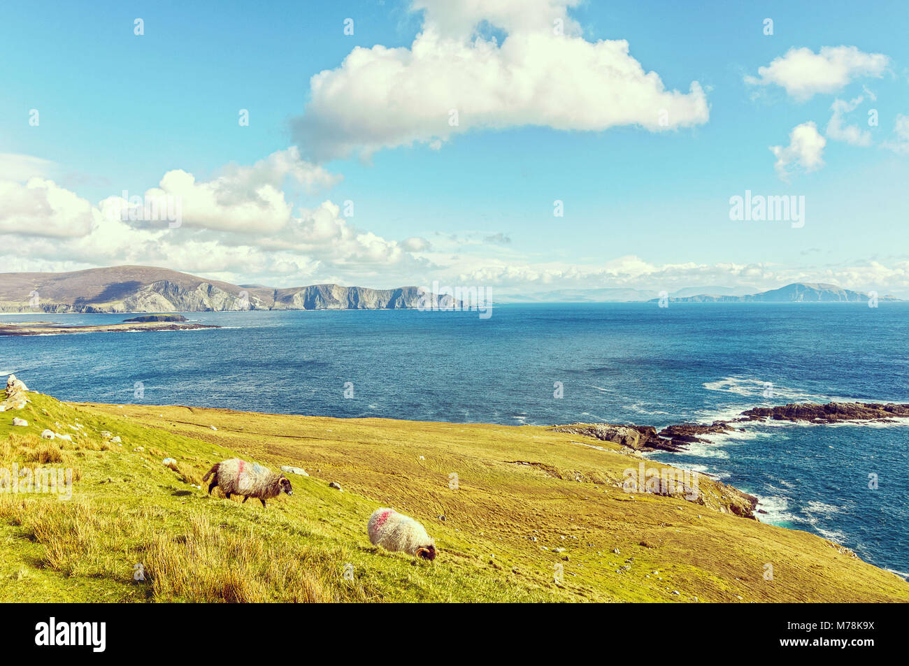 beautiful vintage styled landscape from achill island in mayo Stock ...