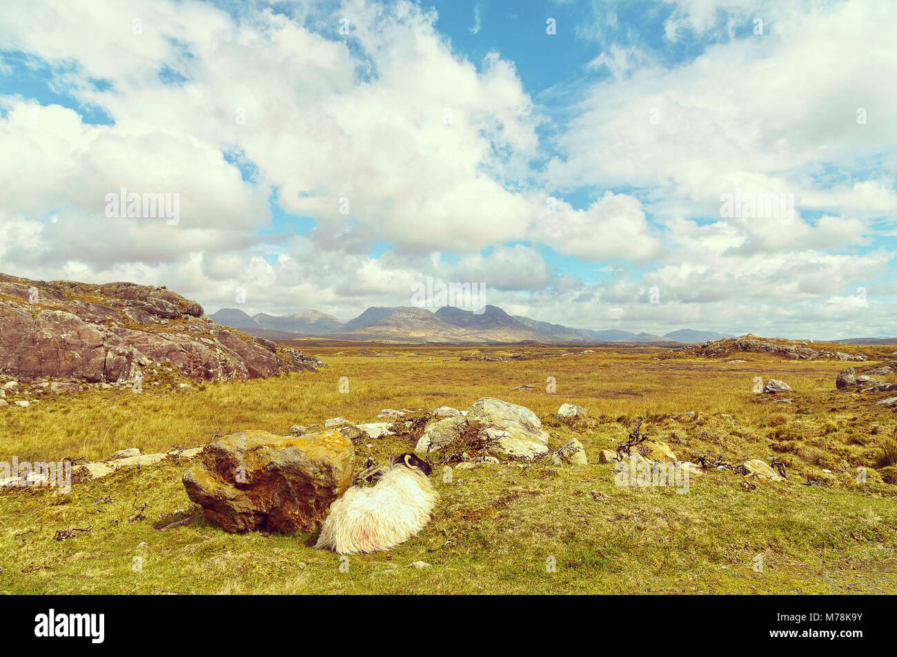 beautiful vintage styled landscape from achill island in mayo Stock ...