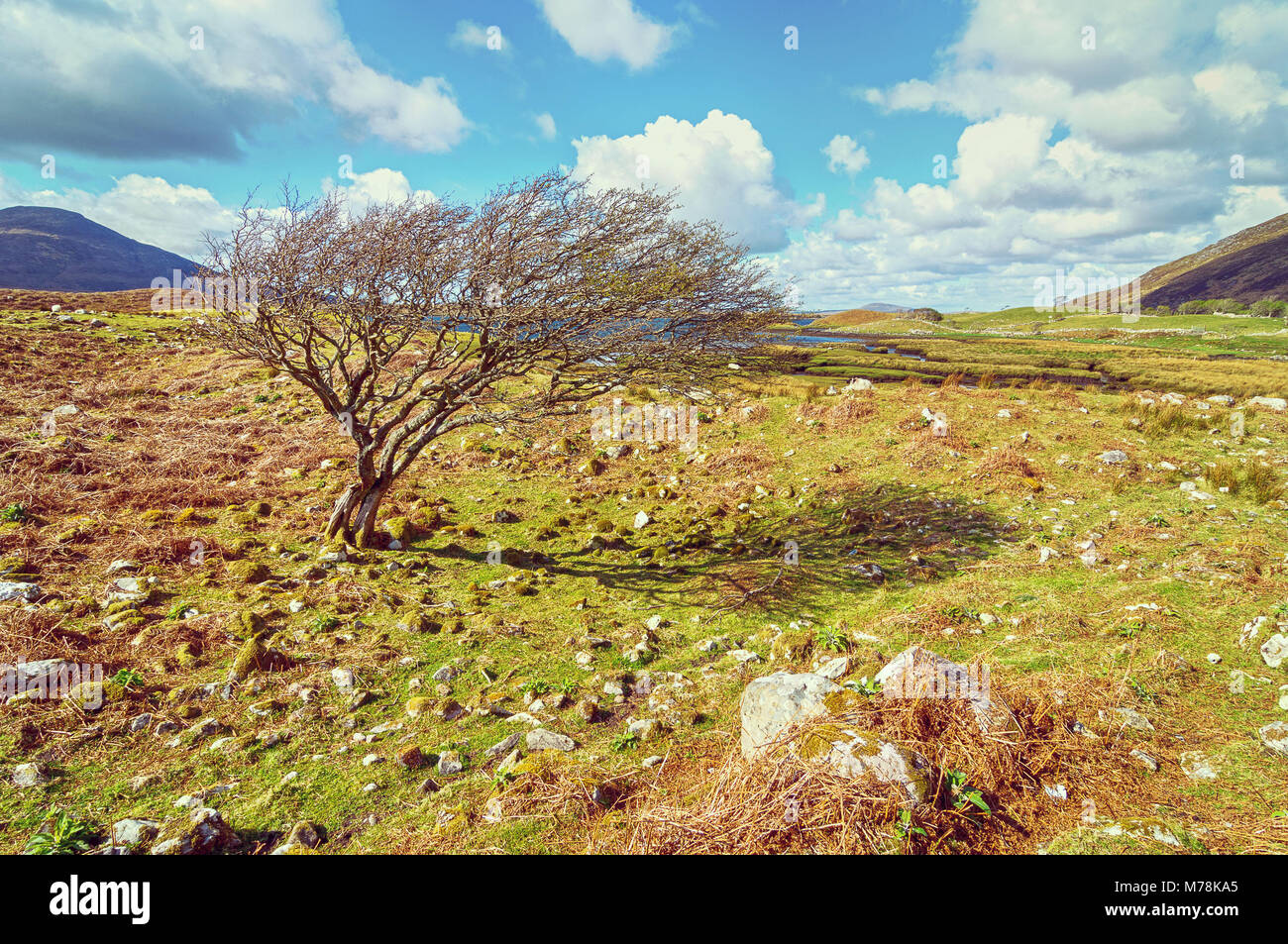 beautiful vintage styled landscape from achill island in mayo Stock ...