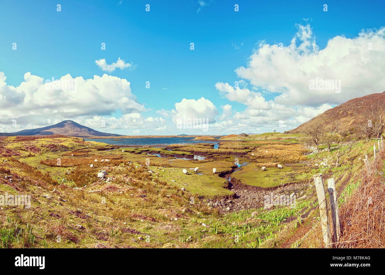 beautiful vintage styled landscape from achill island in mayo Stock ...