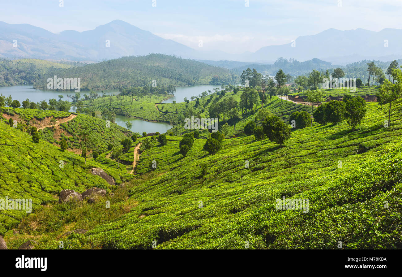 Kerala Landscape Scenery View Stock Photos & Kerala Landscape Scenery ...