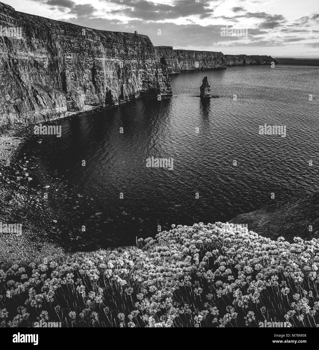 epic black and white photograph of the world famous cliffs of moher in ...