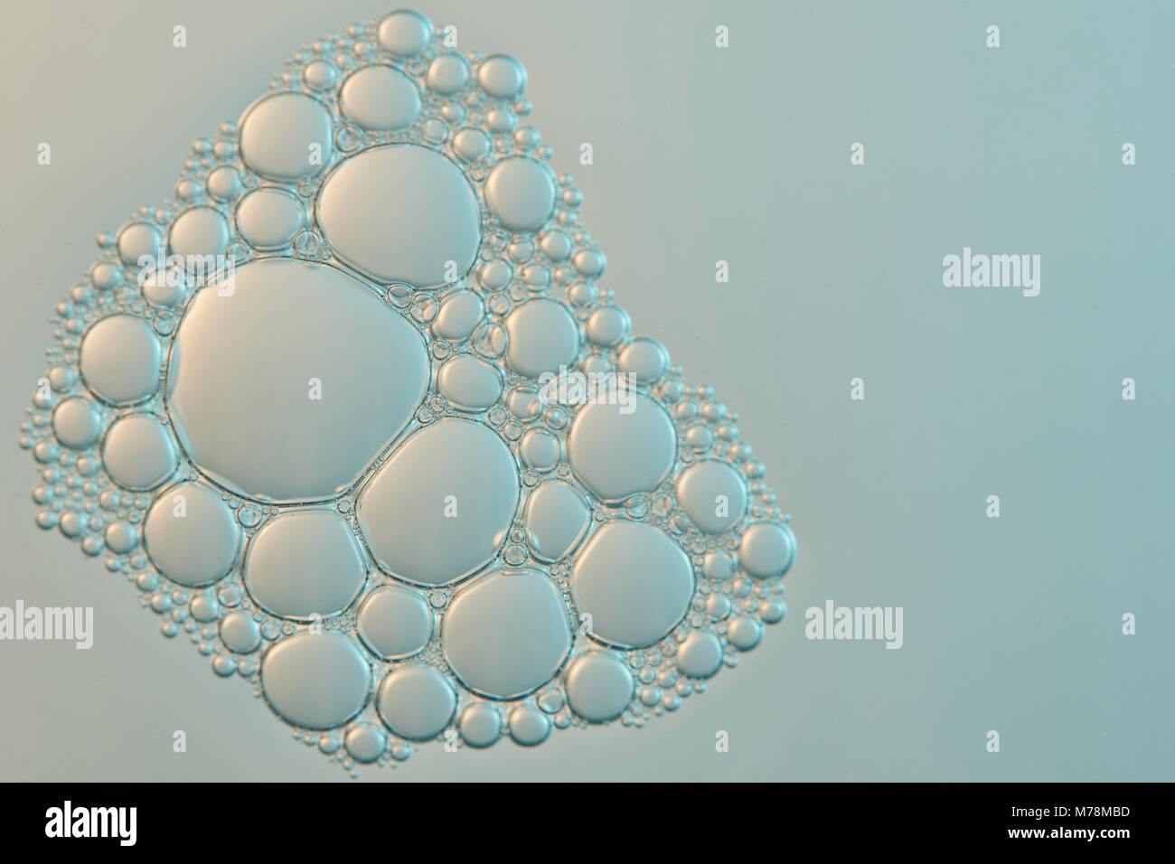 Abstract water bubbles background. Group of small cells Stock Photo - Alamy