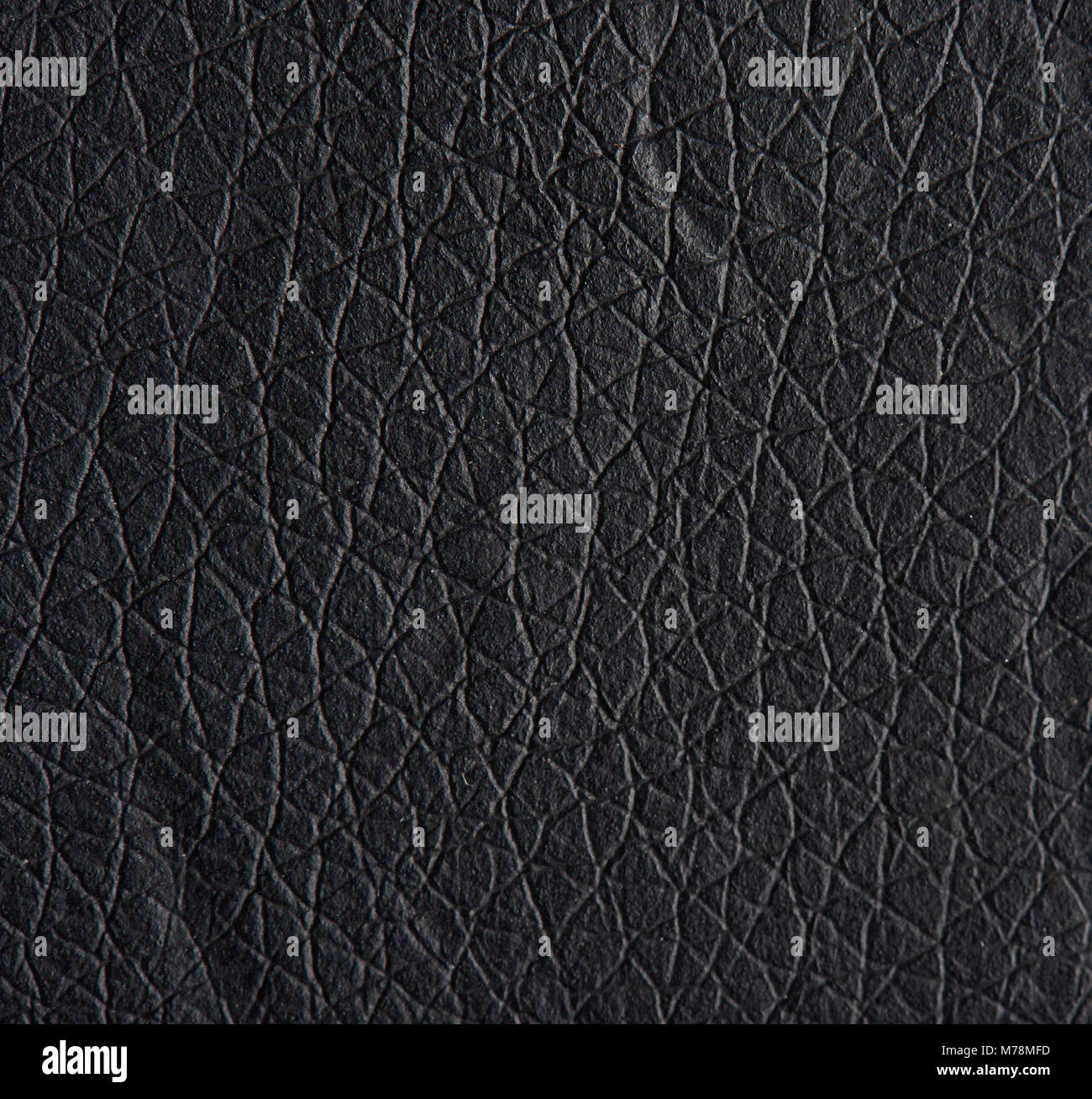 Black skin hi-res stock photography and images - Alamy