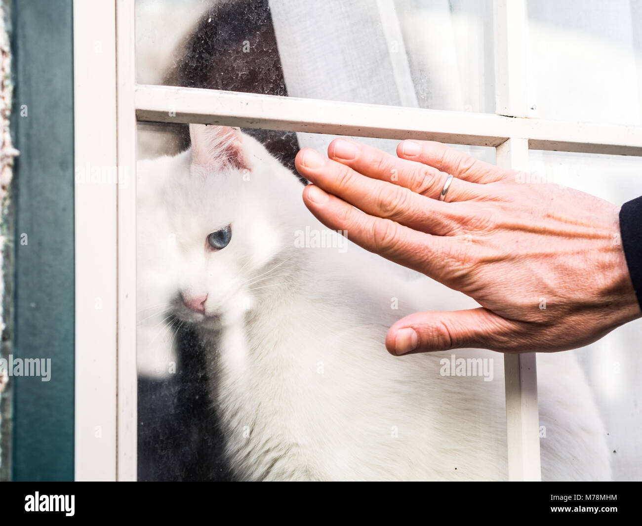 Window sit hi-res stock photography and images - Alamy