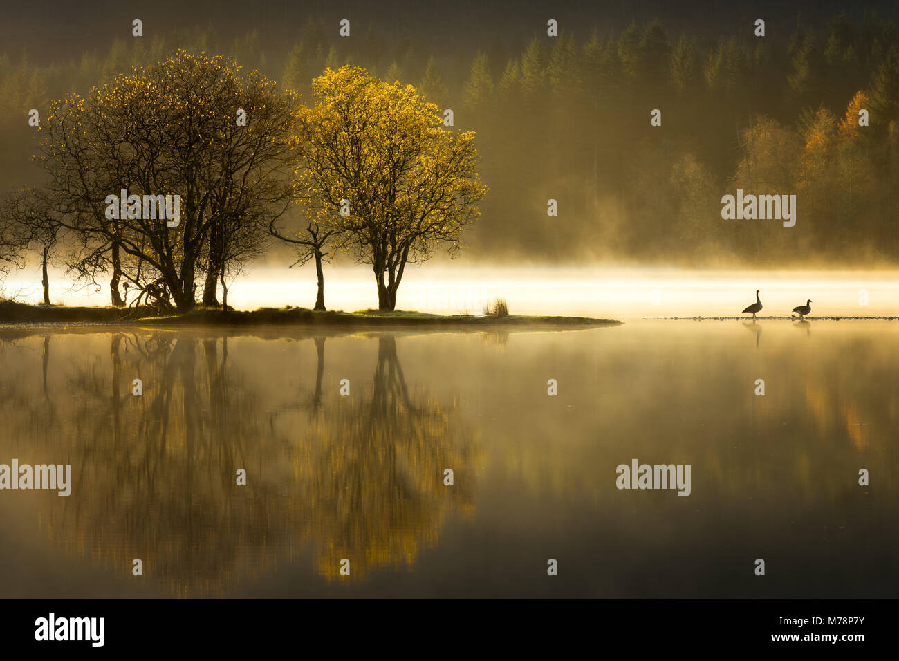 Autumn at Loch Ard, Trossachs National Park, Stirling Region, Scotland ...