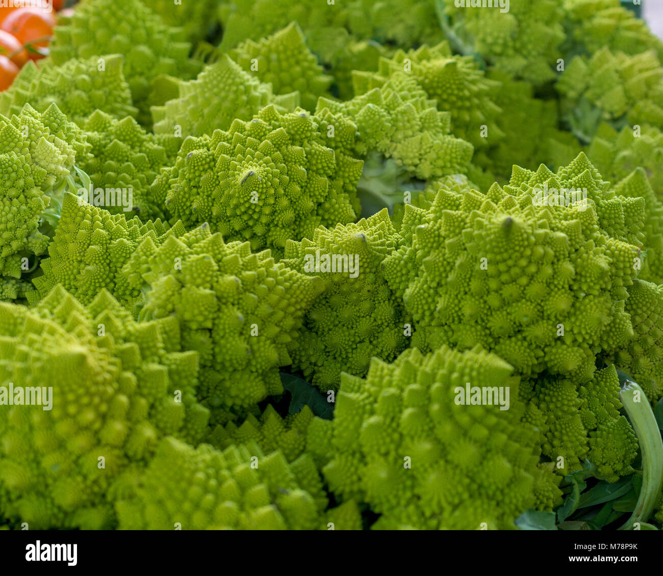 Romanesco broccoli (Brassica oleracea), close-up shot, selective focus ...