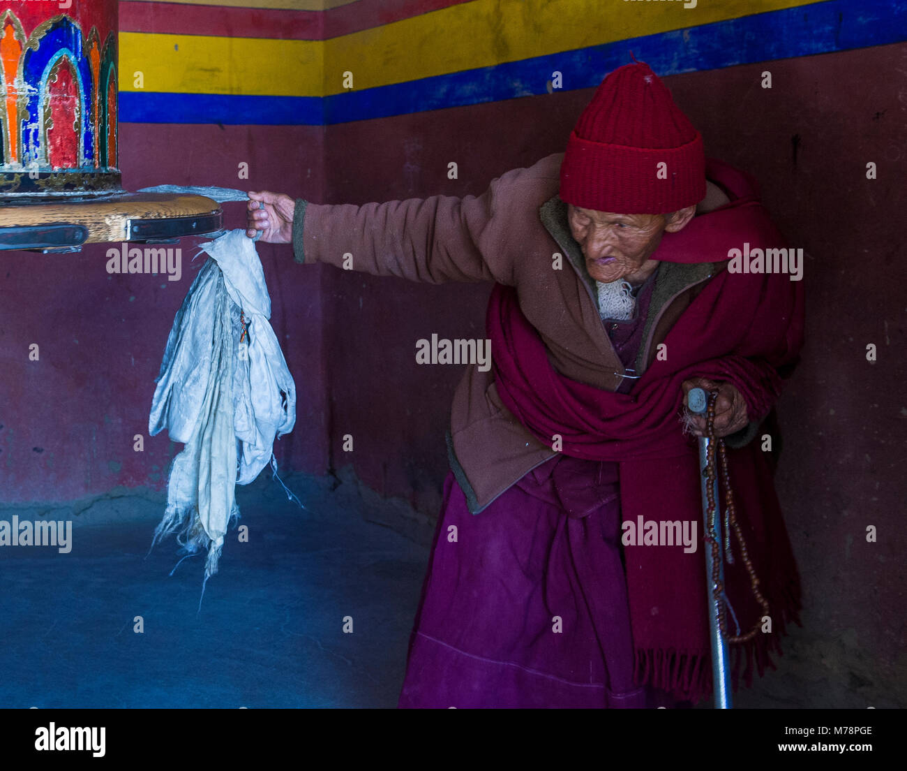Portraite of Ladakhi woman during the Ladakh Festival in Leh India ...