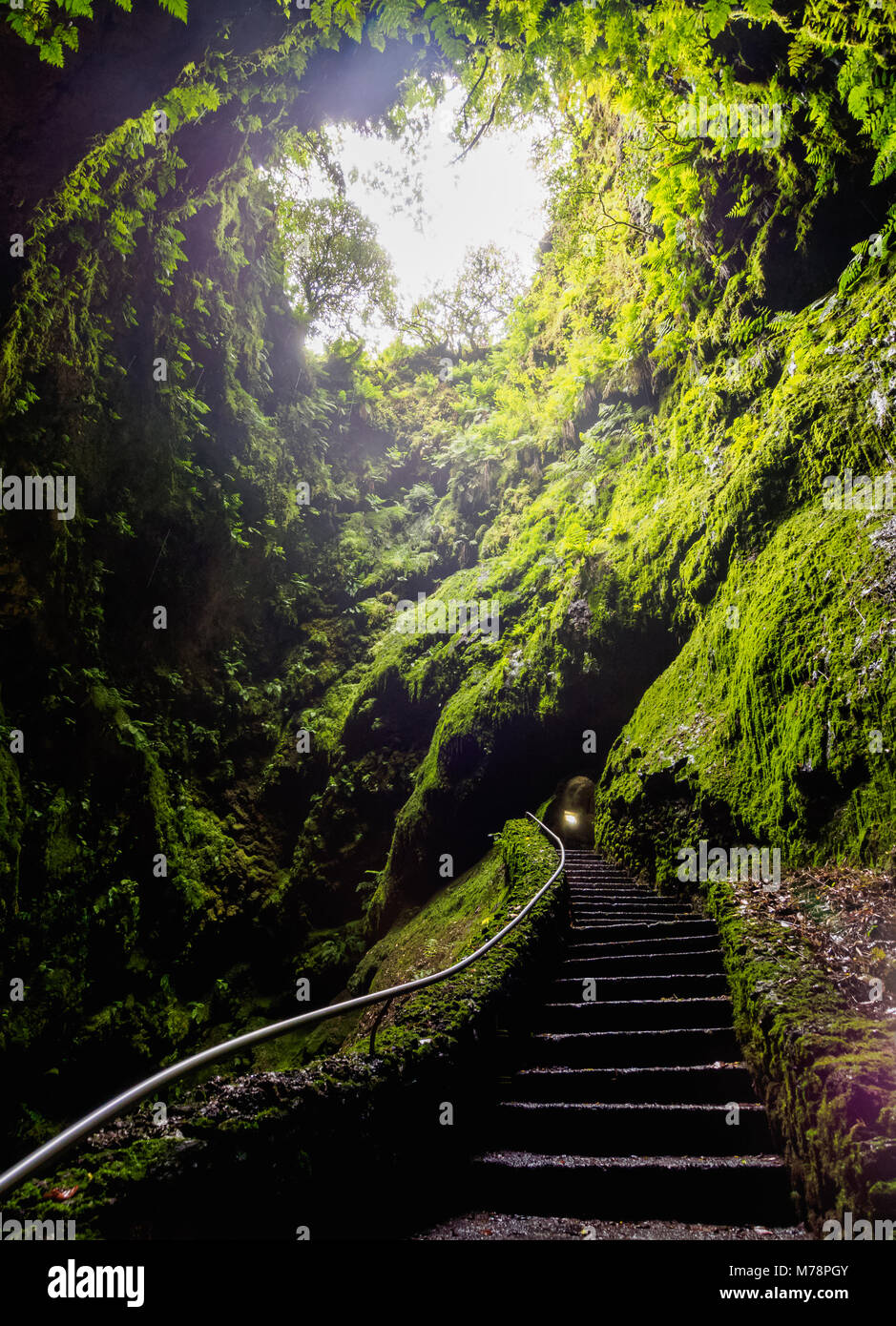Gruta do Algar do Carvao, cave, Terceira Island, Azores, Portugal ...
