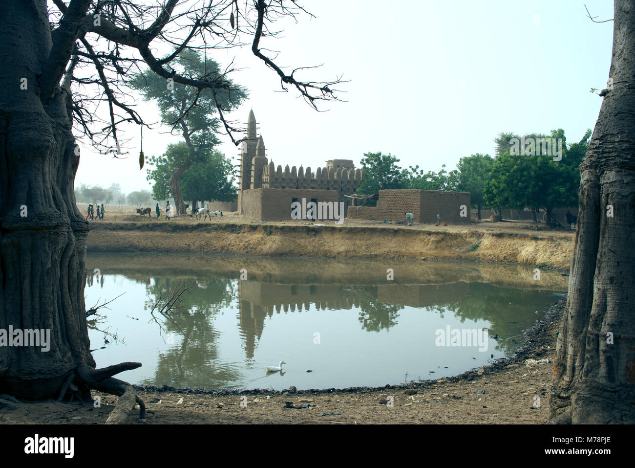 Traditional daily life taking place by a mosque in an indigenous Dogon ...