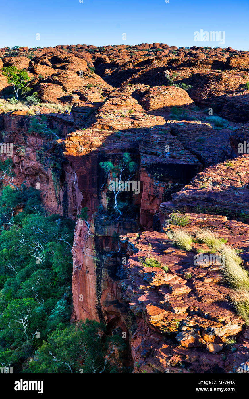 Garden of eden kings canyon hi-res stock photography and images - Alamy