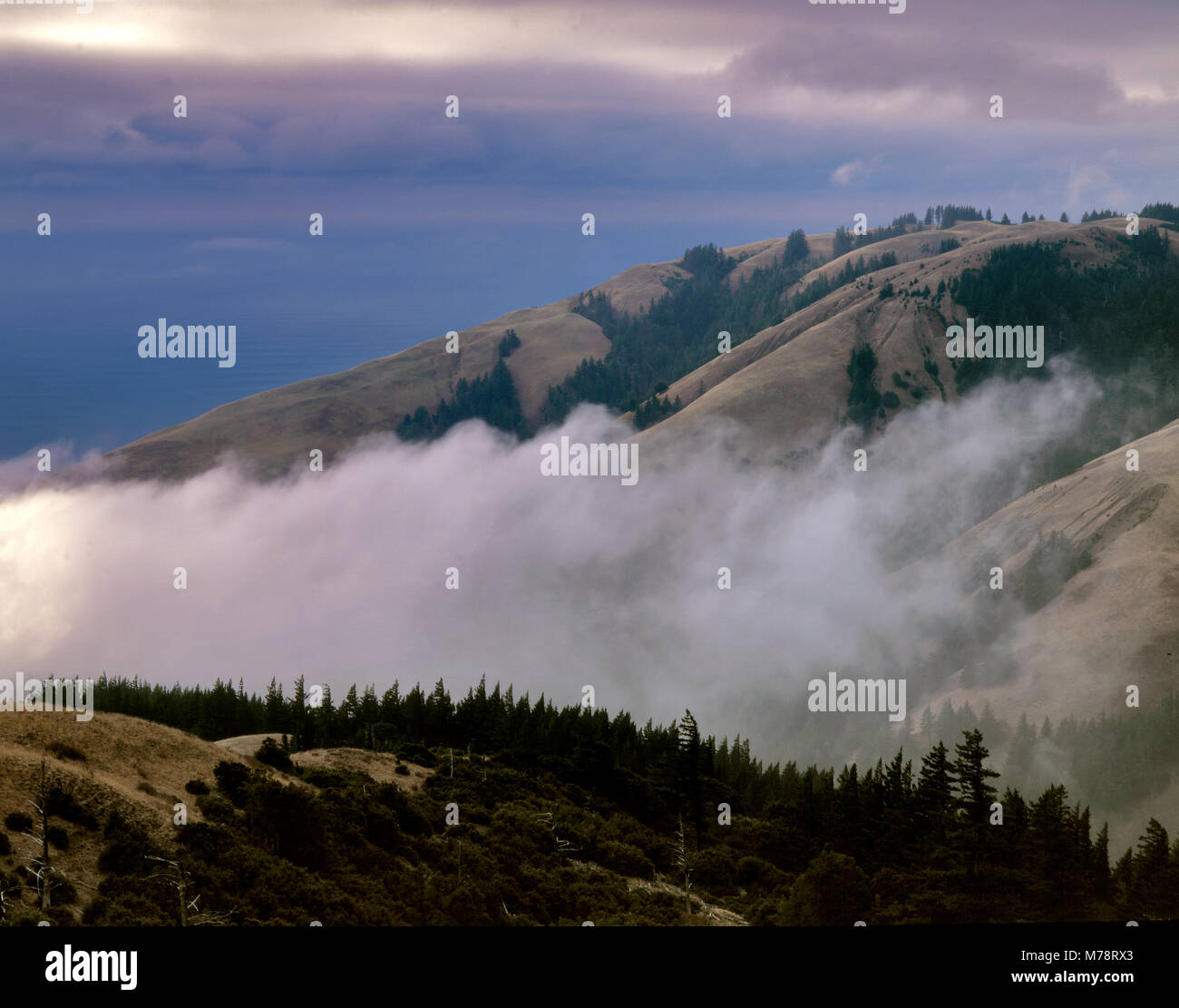 King range national conservation area hi-res stock photography and ...