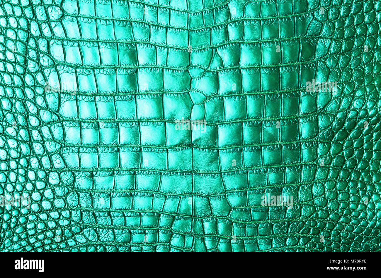 Green Alligator Skin