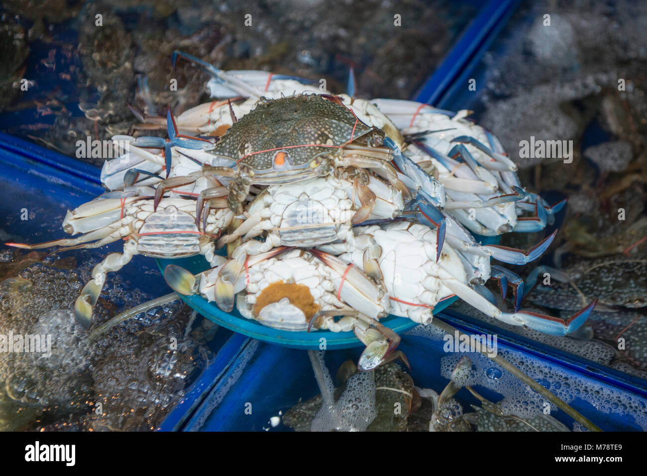 Bang saen thailand crab hi-res stock photography and images - Alamy