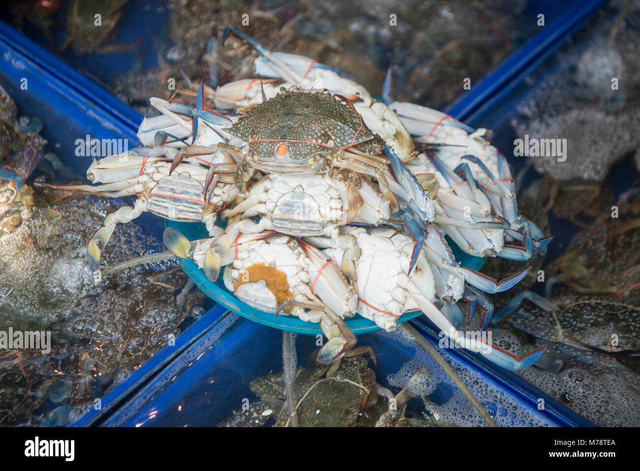 Bang saen thailand crab hi-res stock photography and images - Alamy