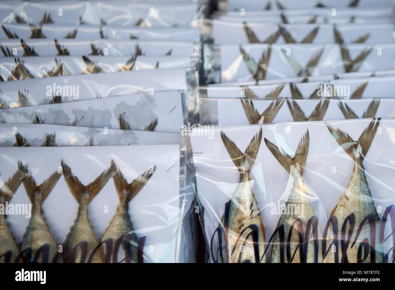 the fish market at the town of Ang Sila near Bang Saen in the Provinz ...