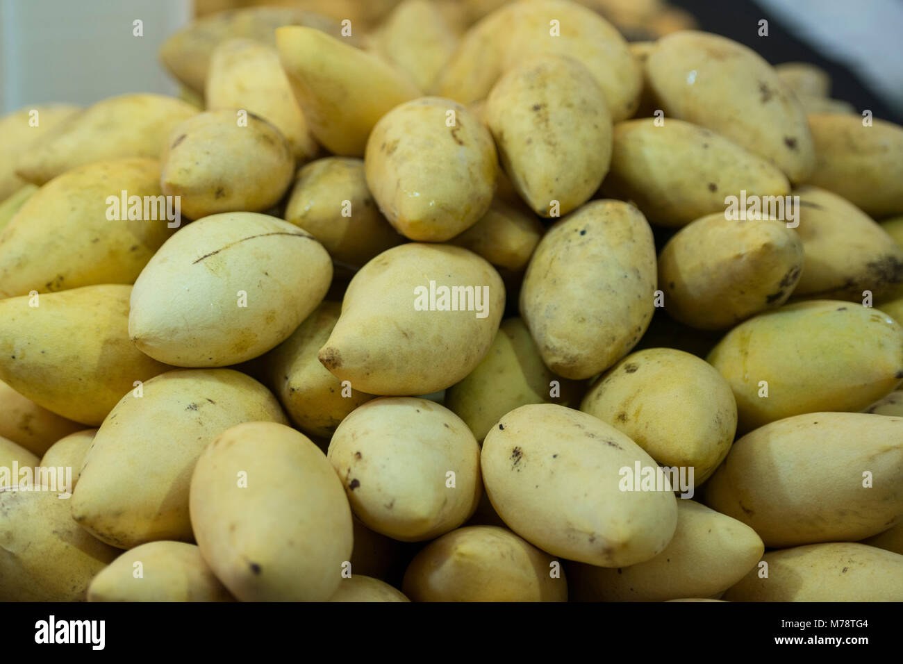 thai mango fruits at a Food market at the Santichaiparakan park in ...