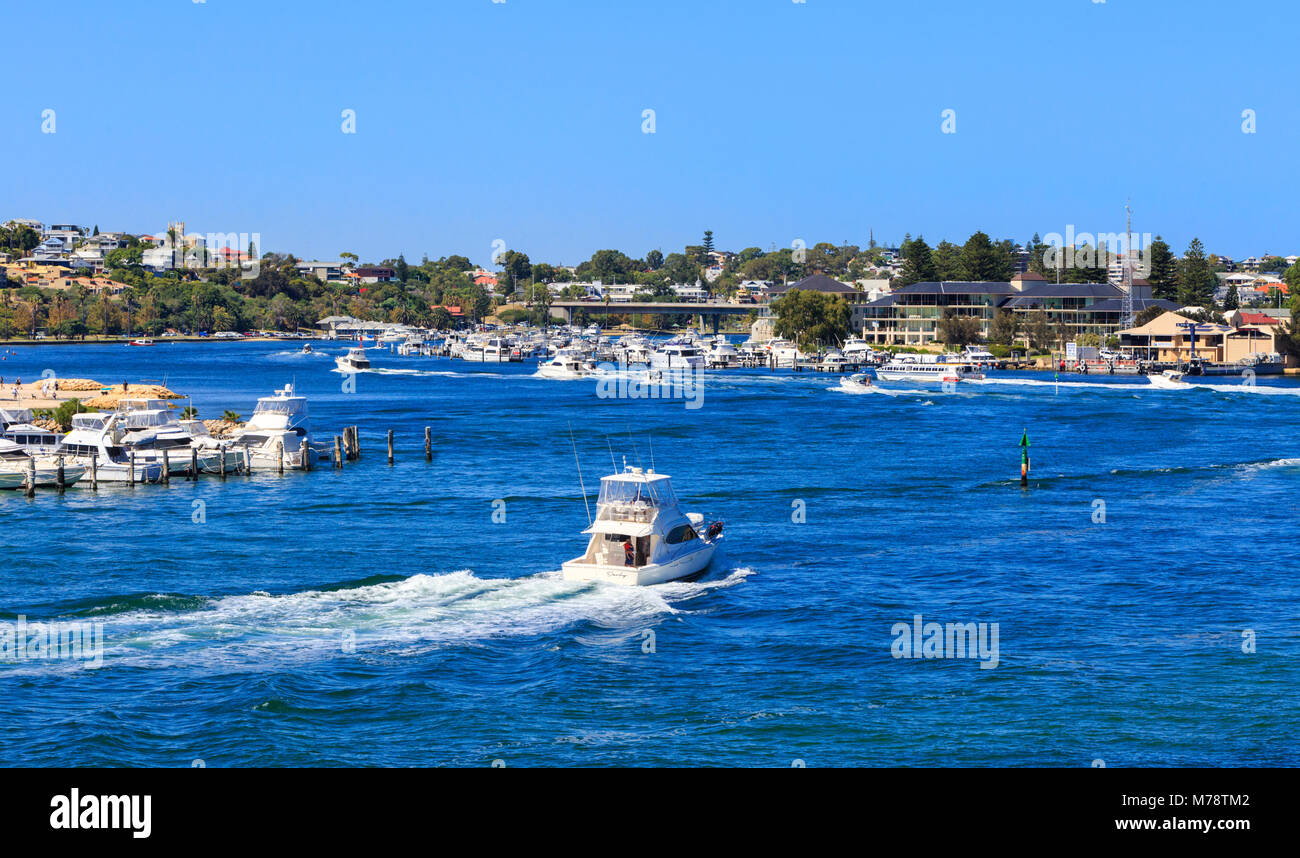 Blue swan boat hi-res stock photography and images - Alamy