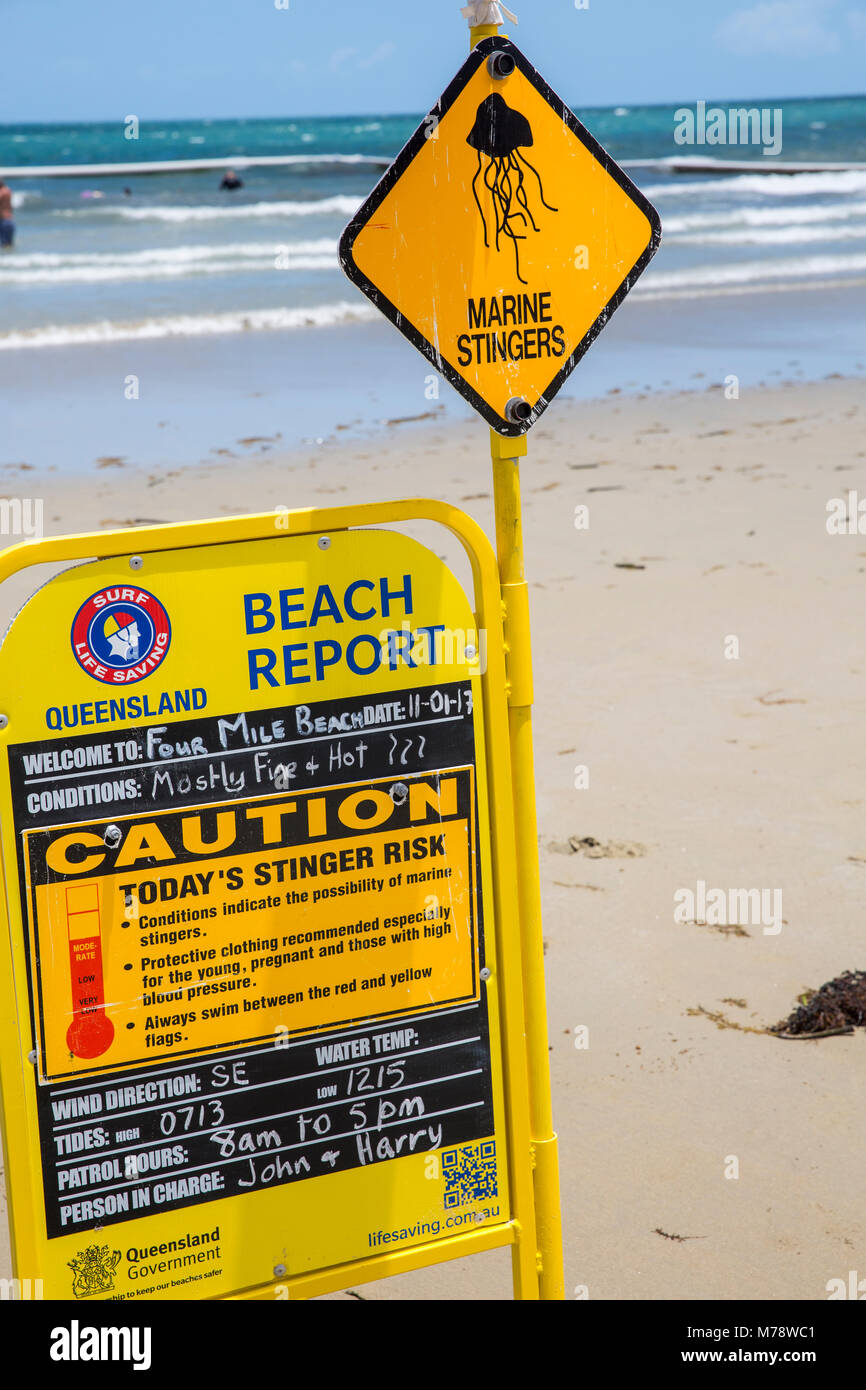 Beach report and warning of marine stingers on Four mile beach in Port ...