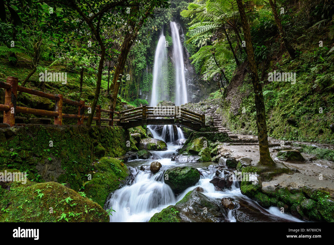 Jumog waterfall hi-res stock photography and images - Alamy