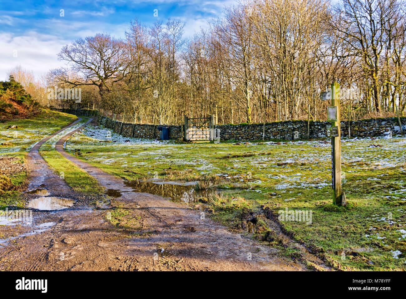 A footpath sign pointing to a track through woodland Stock Photo - Alamy