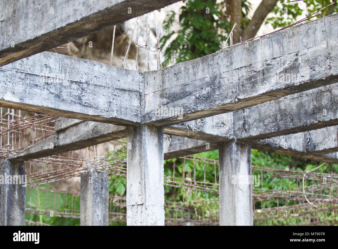 Old abandoned building reinforced concrete structures in the jungle ...