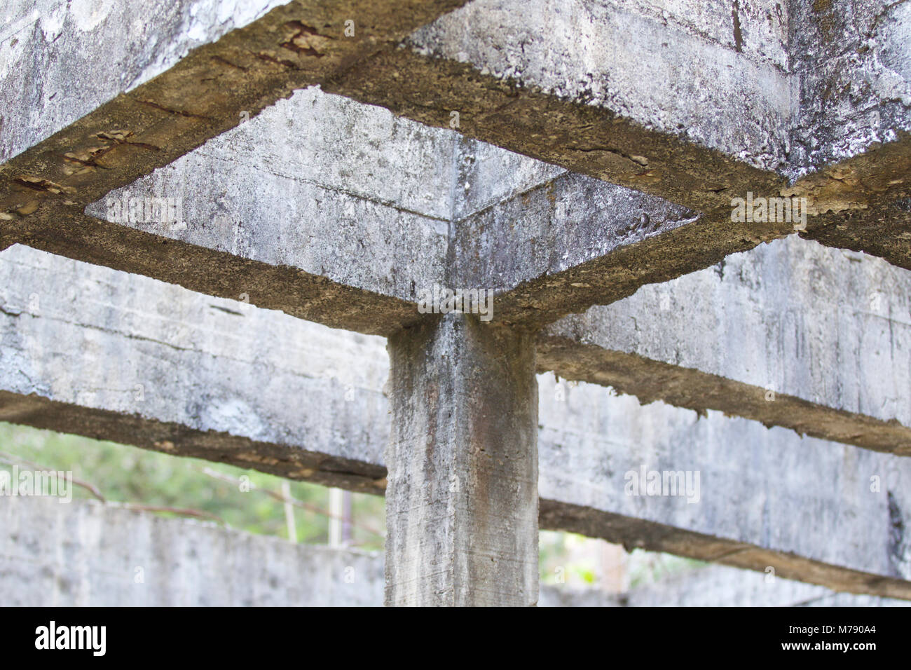 Old abandoned building reinforced concrete structures in the jungle ...