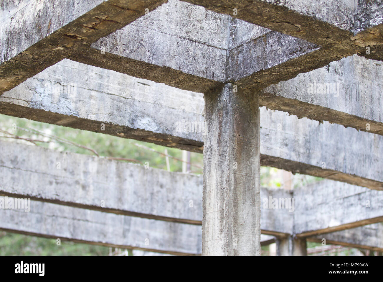 Old abandoned building reinforced concrete structures in the jungle ...
