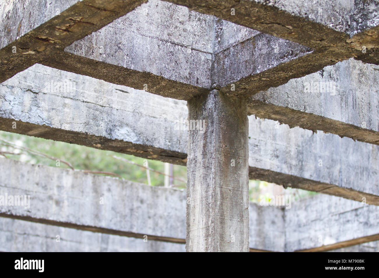 Old abandoned building reinforced concrete structures in the jungle ...