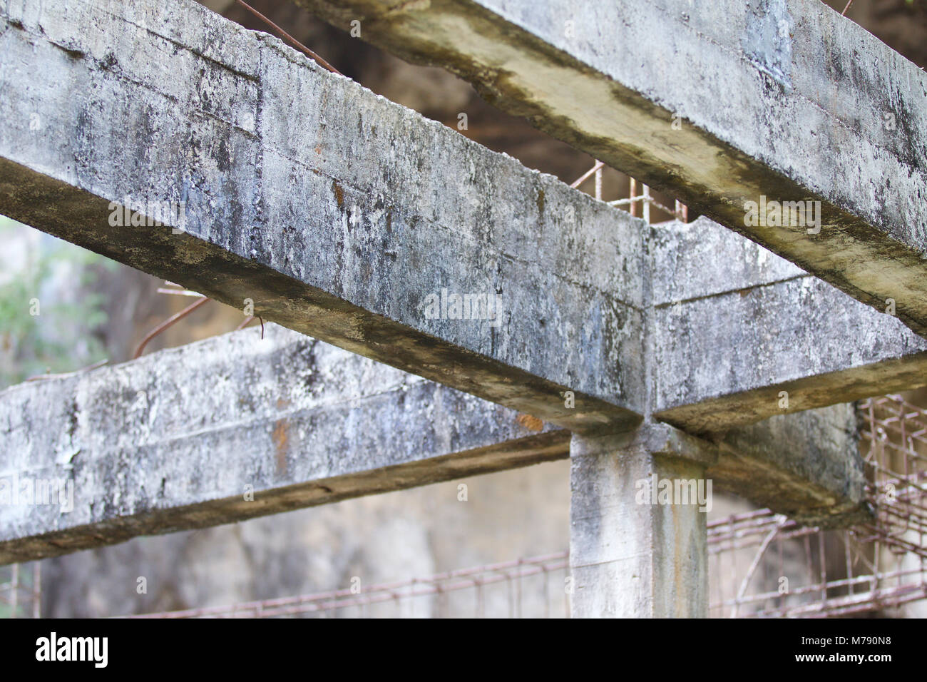 Old abandoned building reinforced concrete structures in the jungle ...