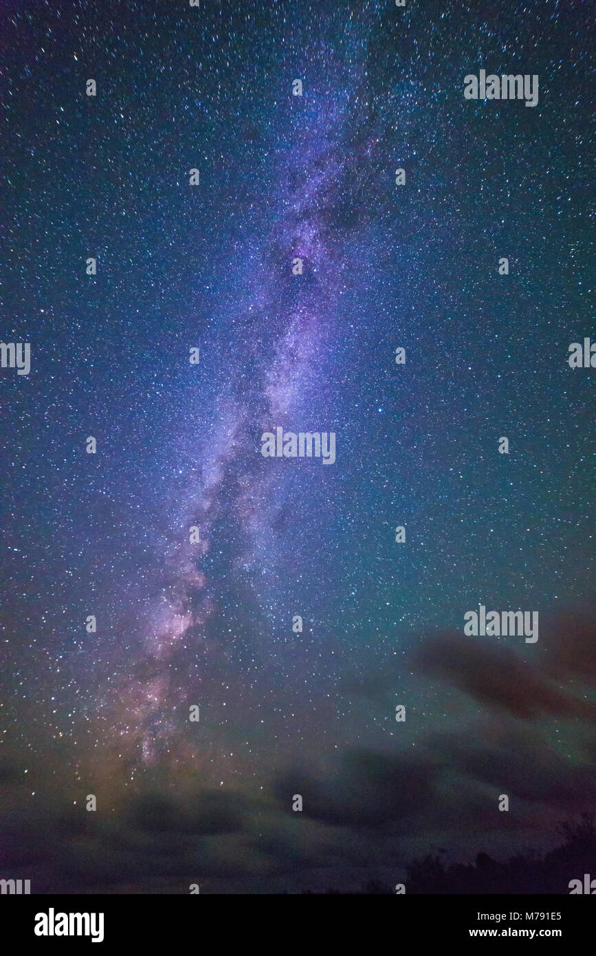 Milky way trees astrophotography hi-res stock photography and images ...