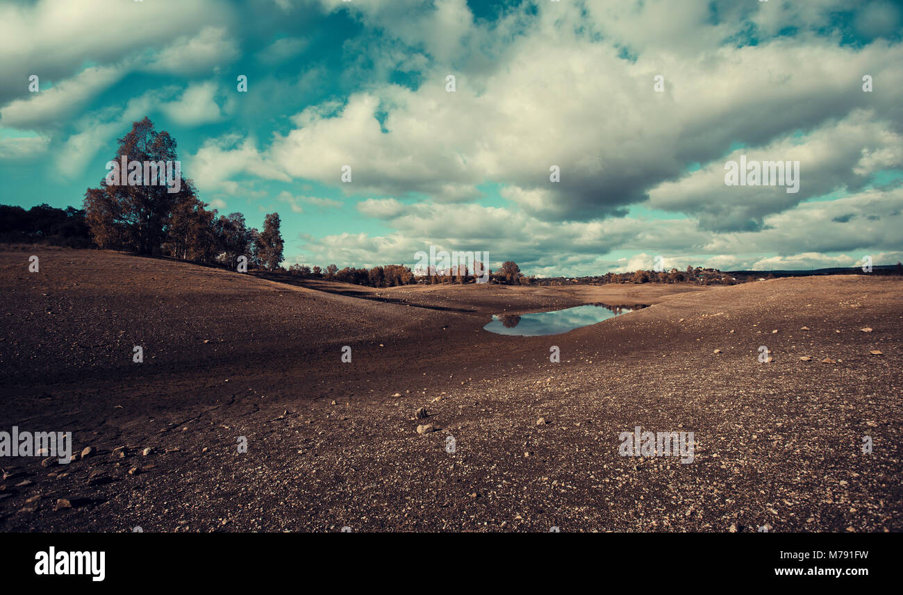 Arid forest hi-res stock photography and images - Alamy