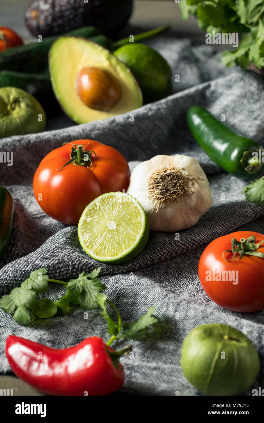 Raw Organic Healthy Mexican Vegetables and Herb Ingredients Stock Photo ...