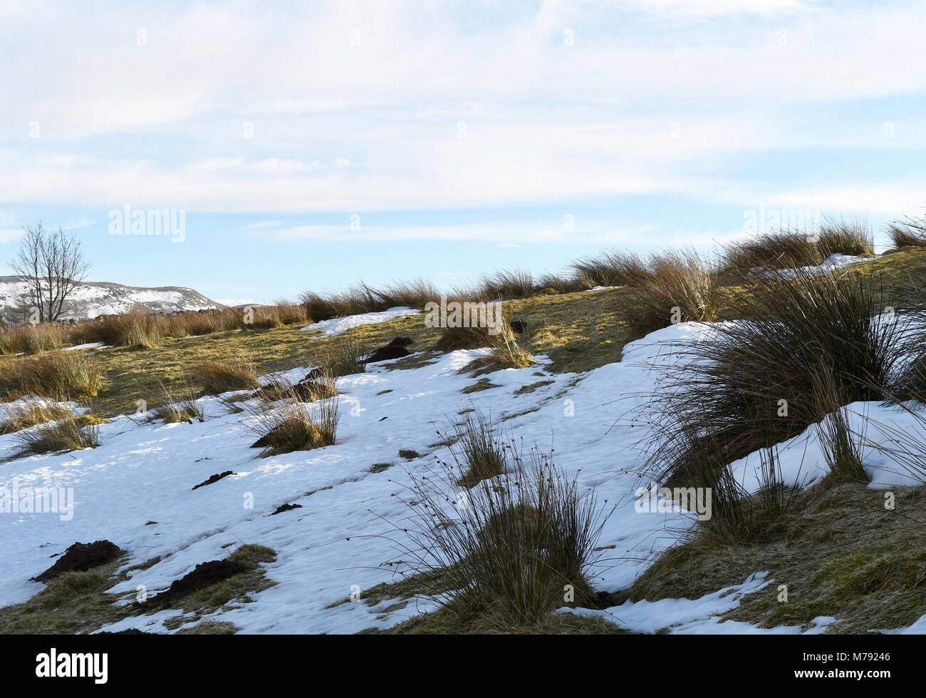 Snow covered farm land Stock Photo - Alamy