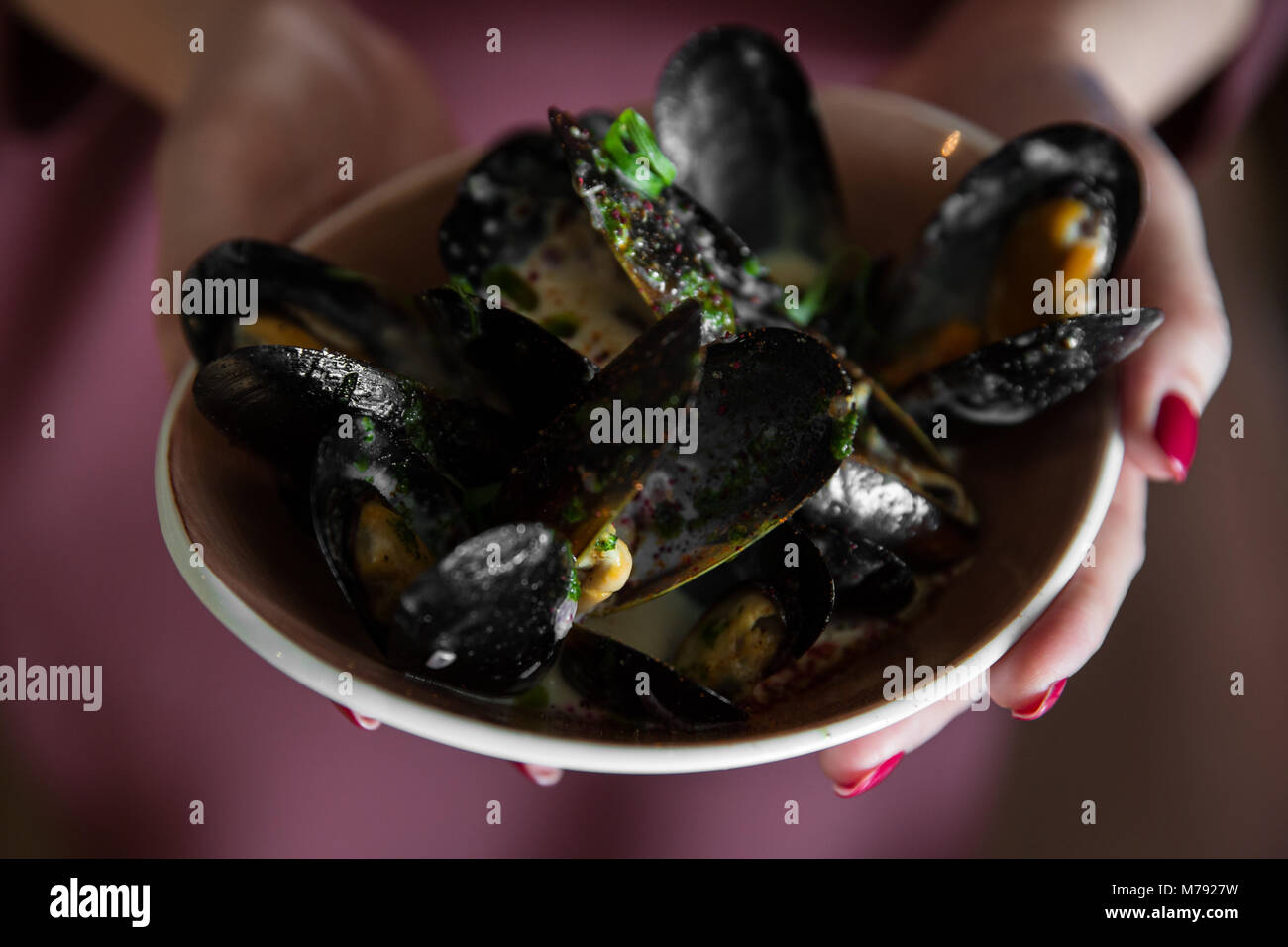 a plate of mussels in the hands of a female. close up Stock Photo - Alamy