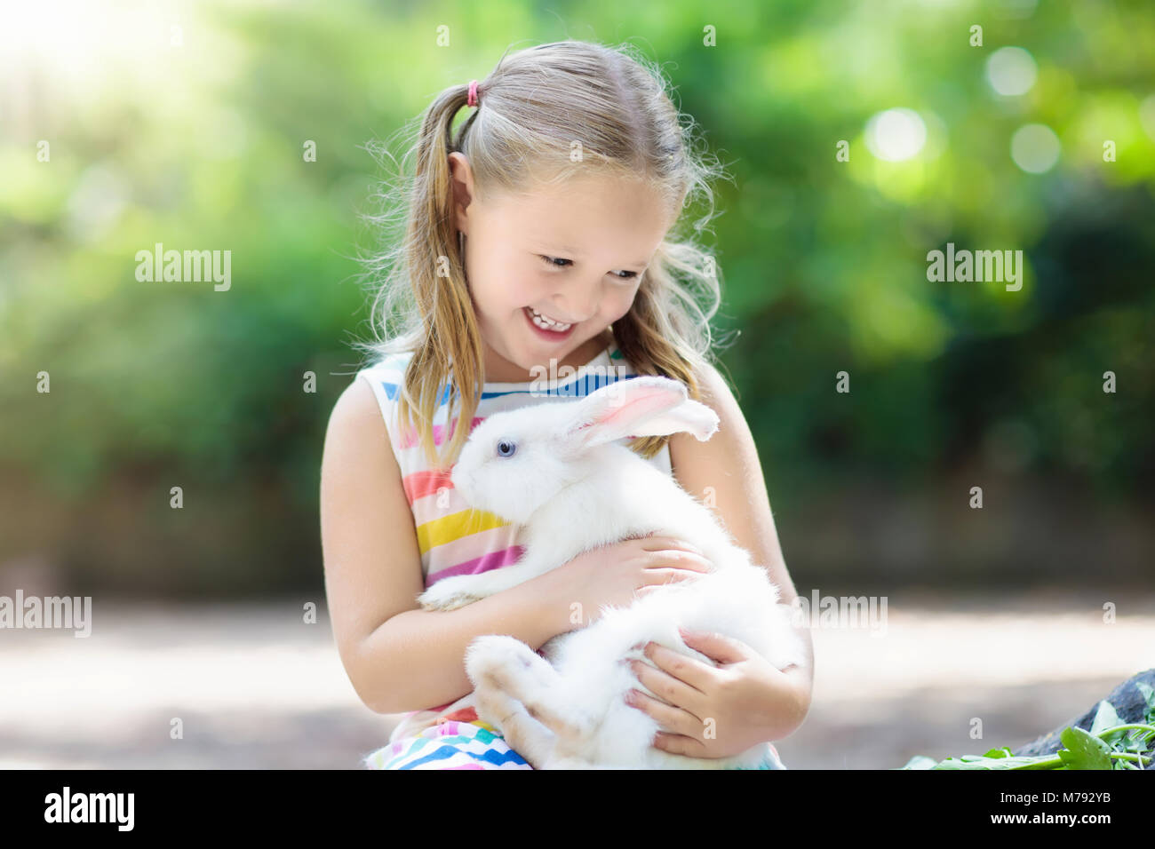 Child playing with white rabbit. Little girl feeding and petting white ...